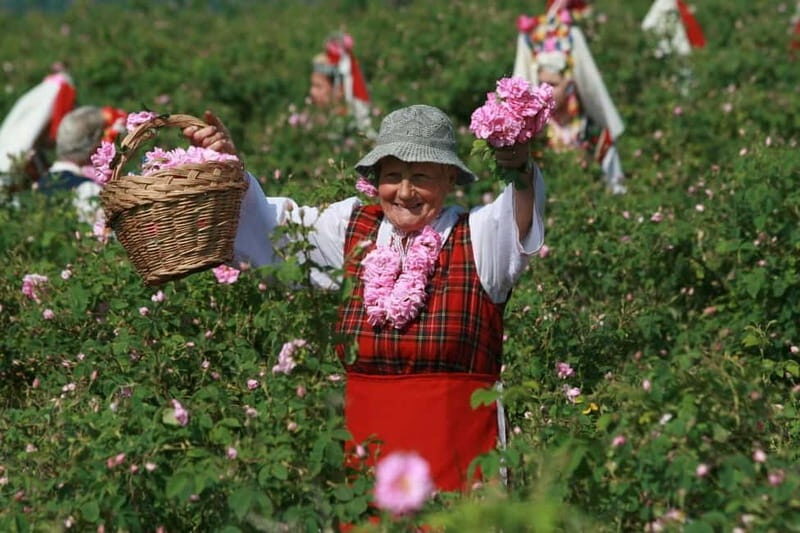 From Sofia: The Rose Valley & Koprivshtitsa 12 hrs Day Tour - Exploring Bulgaria: The Rose Valley & Koprivshtitsa Day Tour