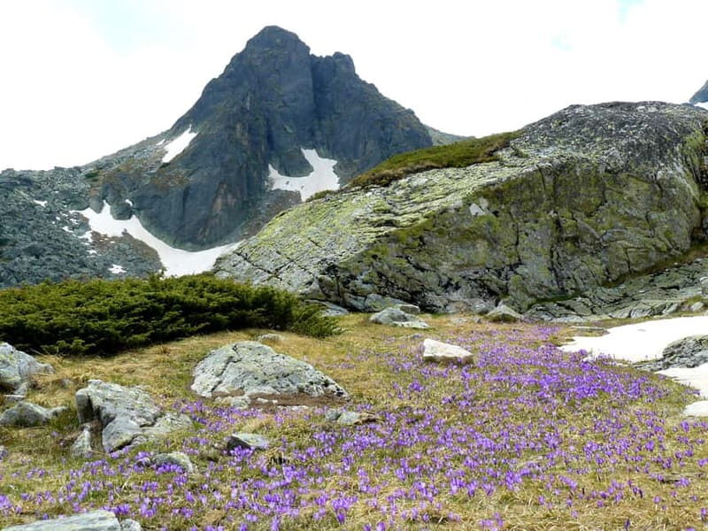 From Sofia: The Seven Rila Lakes Full-Day Self-Guided Tour - Key Points