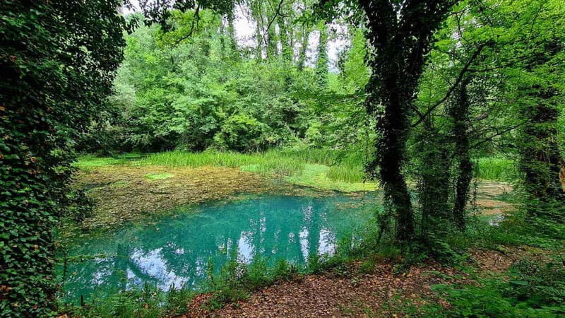From Sofia: Zlatna Panega River Hike with Springs Visit - Key Points