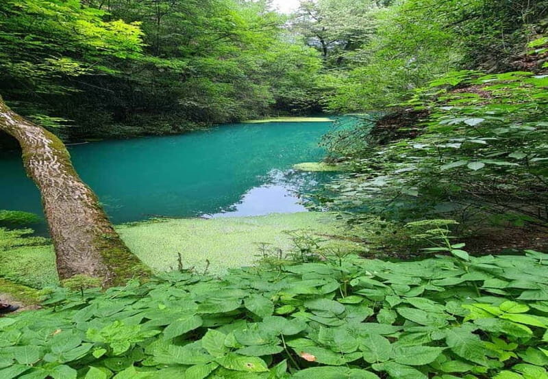 From Sofia: Zlatna Panega River Hike with Springs Visit - The Experience: Practicalities and Perks