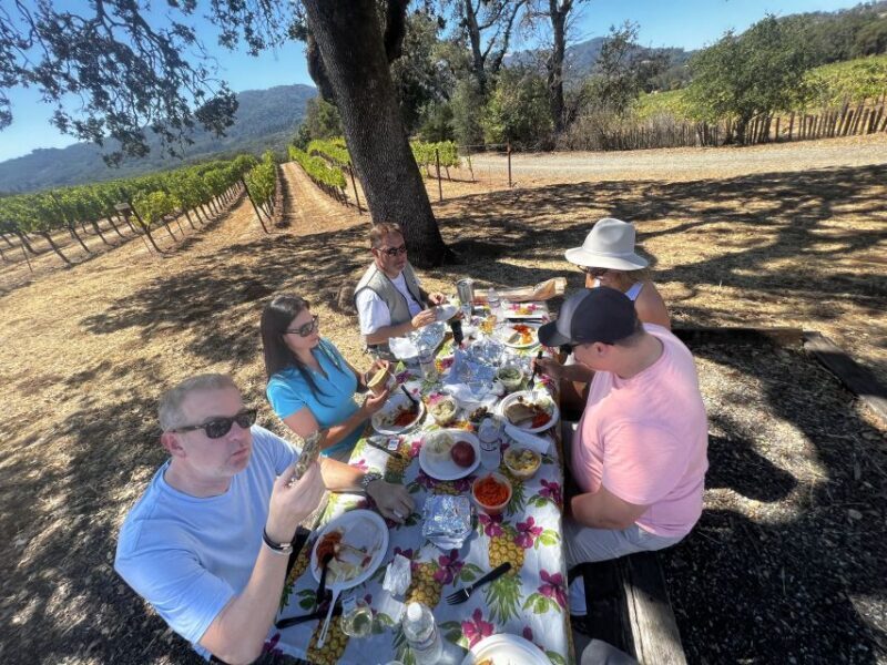 From Sonoma: Napa Valley Classic Sidecar Tour to 3 Wineries - The Hidden-Gem Picnic: French-Style in the Vineyard