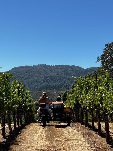 From Sonoma: Napa Valley Classic Sidecar Tour to 3 Wineries - Ending Back in Sonoma: A Complete Day of Discovery