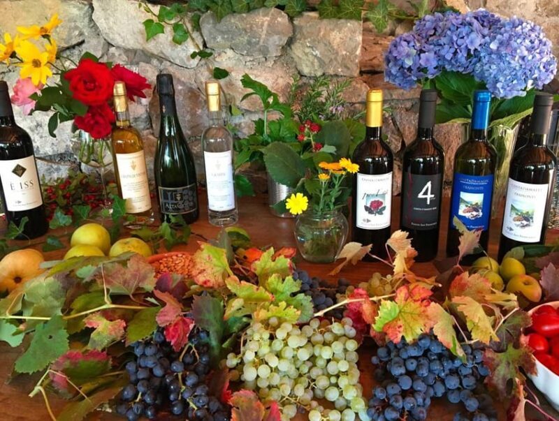 From Sorrento: Amalfi Coast Tour and Wine Tasting with Lunch - An In-Depth Look at the Amalfi Coast Tour from Sorrento