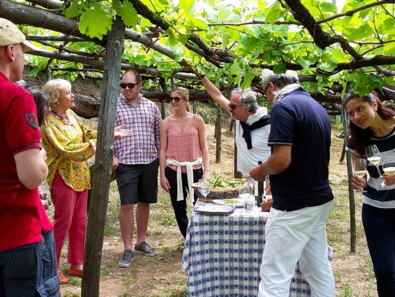 From Sorrento: Amalfi Coast Tour and Wine Tasting with Lunch - The Sum Up: Is This Tour a Good Choice?