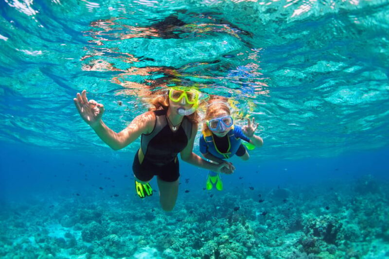 From Sorrento: Capri Boat Tour with Snorkeling & Drinks - Why This Tour Stands Out