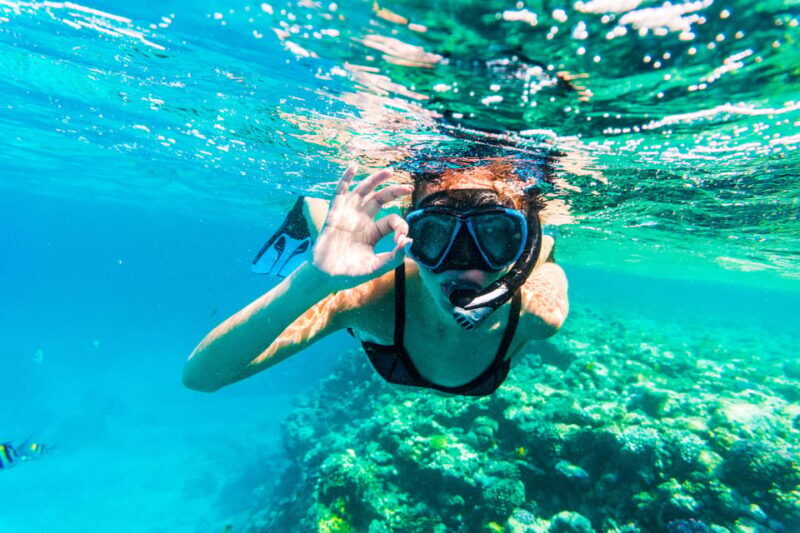 From Sorrento: Capri Boat Tour with Snorkeling & Drinks - Practical Tips for Travelers