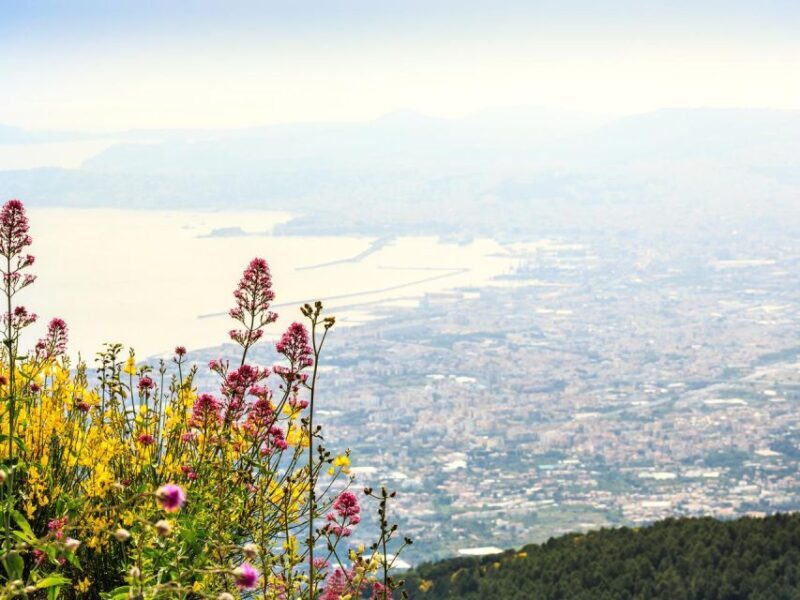 From Sorrento Combo Tour_Pompeii & Vesuvius - Overview of the Tour Experience