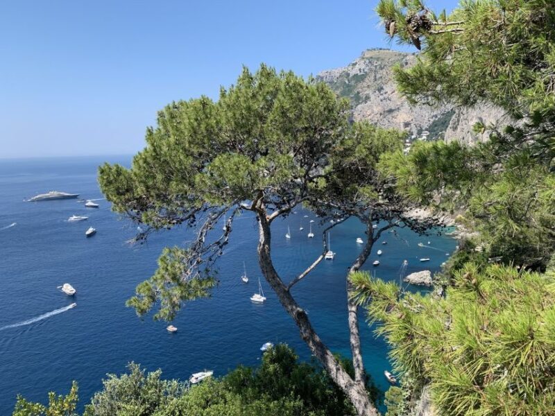 From Sorrento: Day Trip to Capri & Anacapri with Blue Grotto - The Value of the Experience
