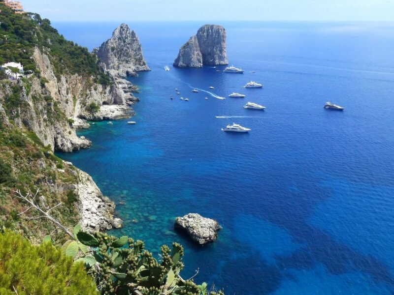 From Sorrento: Fishing in Capri with Lunch - Who Will Love This Tour?