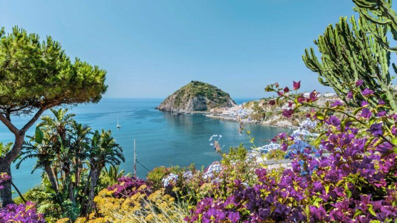 From Sorrento: Ischia and Procida Boat Tour - Who Will Love This Tour