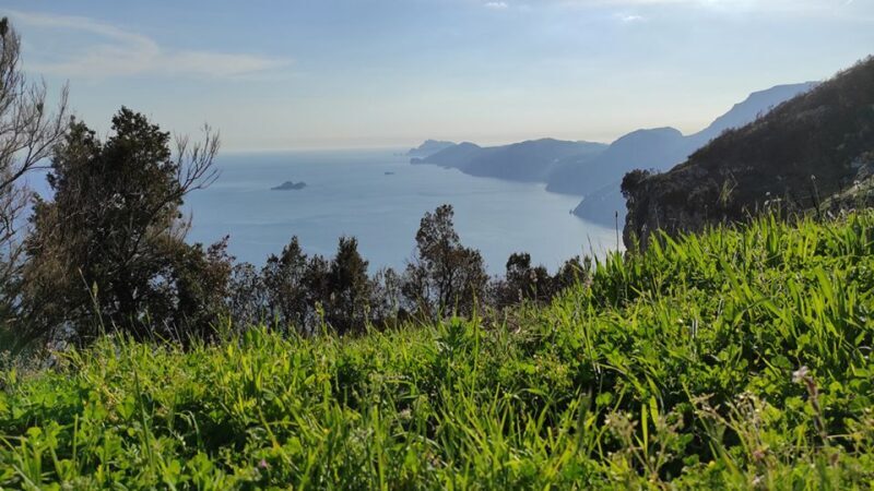 From Sorrento: Path of the Gods Hike with Tasting Stop - Authenticity and Experience Insights