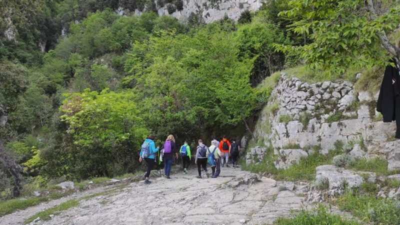 From Sorrento: Path of the Gods Hike with Tasting Stop - FAQ