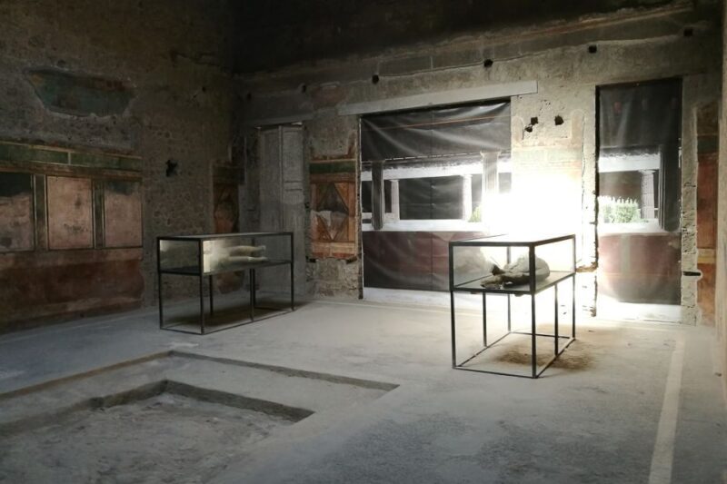From Sorrento: Pompeii and Vesuvius Tour - Introduction