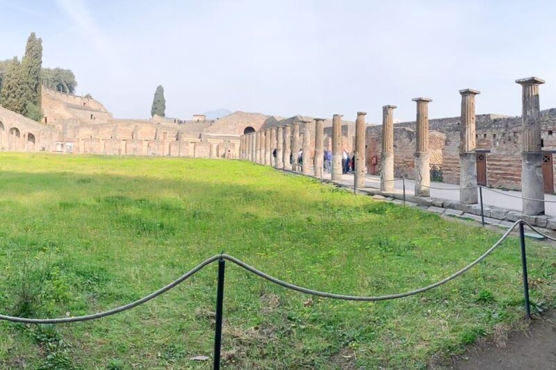 From Sorrento: Pompeii and Vesuvius Tour - The Sum Up