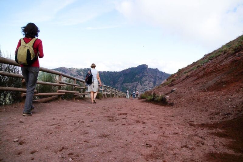 From Sorrento: Pompeii and Vesuvius Tour - FAQ
