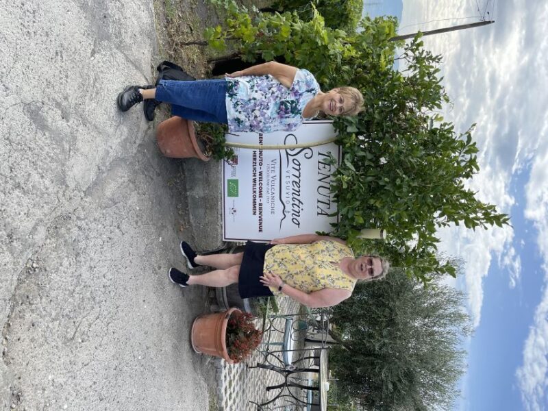 From Sorrento: Pompeii & Wine Tasting Private Tour by car - Practical Details: What You Need to Know