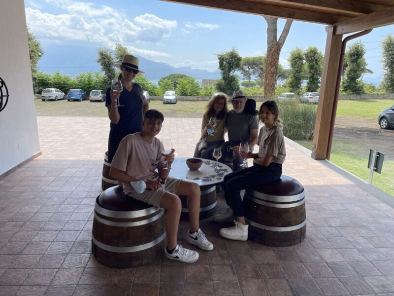 From Sorrento: Pompeii & Wine Tasting Private Tour by car - What Travelers Say