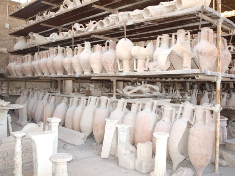 From Sorrento: Skip-the-Line Pompeii Tour and Vineyard Lunch - Who This Tour Is Best For