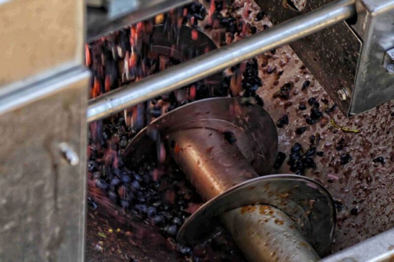 From Sorrento: Winery Tour, Tasting & Lunch - From Sorrento: Winery Tour, Tasting & Lunch – A Delicious Day Out in Campania