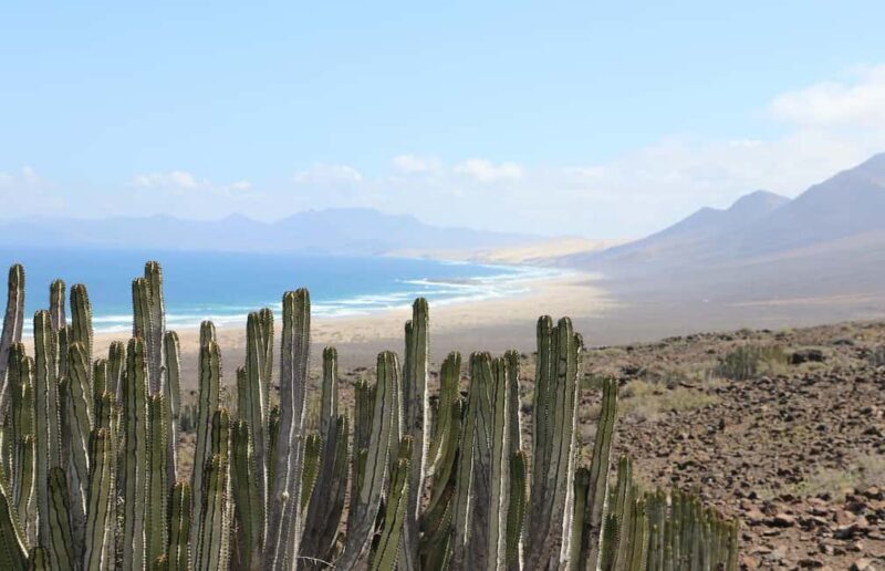 From South Fuerteventura: Jandía 4x4 Safari - Key Points