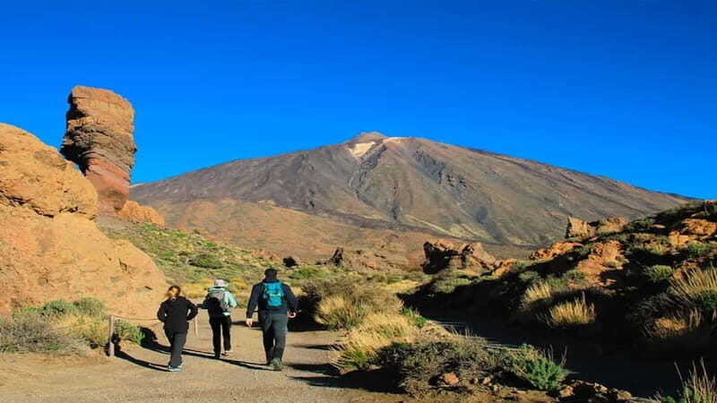 From South Tenerife: Half-Day Tour to Mount Teide - What Makes This Tour Special?