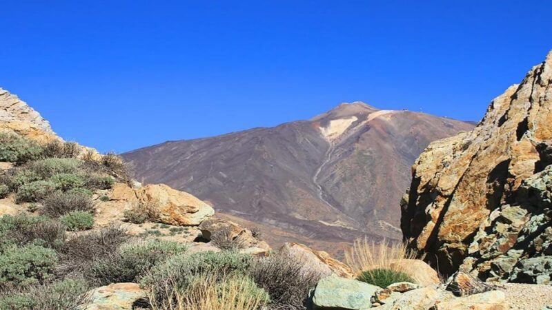 From South Tenerife: Half-Day Tour to Mount Teide - The Value Proposition — Price and What You Get