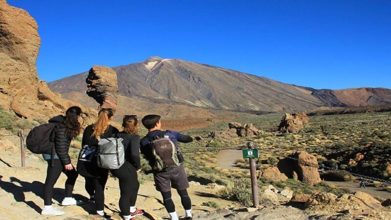 From South Tenerife: Half-Day Tour to Mount Teide - Final Words: Who Will Love This Tour?