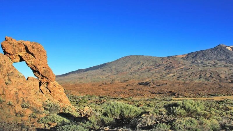From South Tenerife: Half-Day Tour to Mount Teide - FAQs