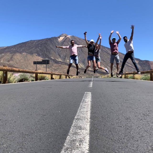 From South Tenerife: Teide National Park Tour - Who This Tour Is Best For