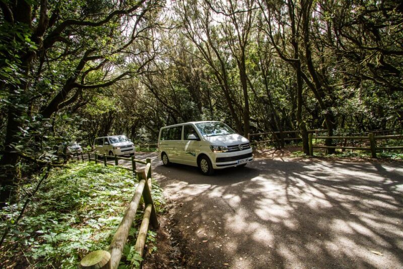 From South Tenerife: VIP Gomera Tour - The Bottom Line