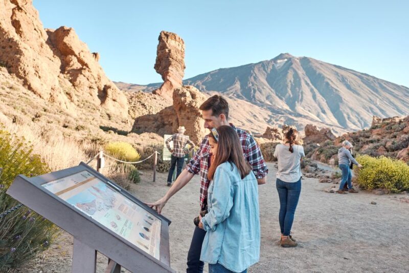 From South Tenerife: VIP Grand Tour Tenerife island - Key Points