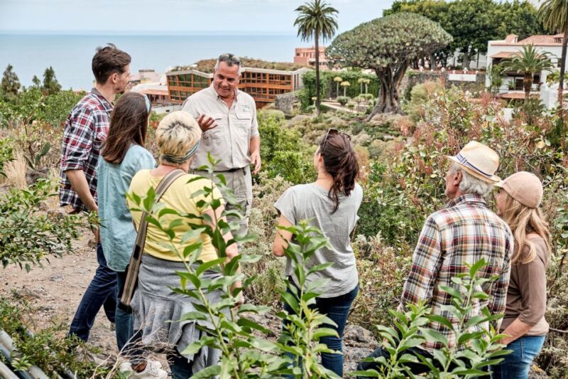 From South Tenerife: VIP Grand Tour Tenerife island - A Closer Look at the Tenerife VIP Minivan Tour