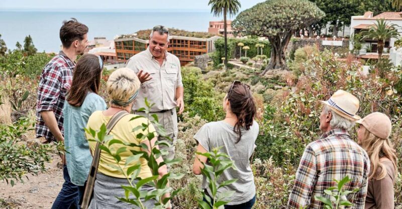 From South Tenerife: VIP Grand Tour Tenerife island - The Authentic Taste of Tenerife