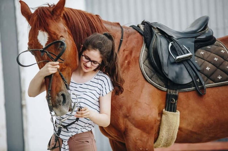 From Split: All-Inclusive Horse Riding and Jeep Exploration - The Sum Up