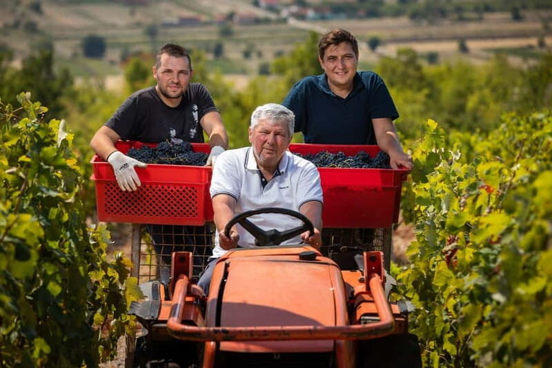 From Split: Blue and Red Lakes and Winery Grabovac Tour - Who Will Love This Tour?