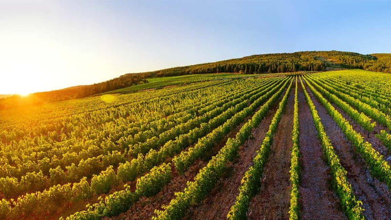 From Split: Blue and Red Lakes and Winery Grabovac Tour - FAQ