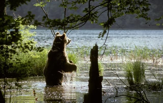 From Split or Trogir: Plitvice Lakes Private Tour - A Fully-Structured Day of Exploring