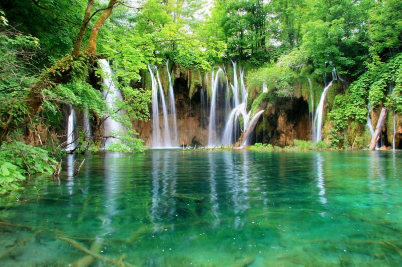 From Split or Trogir: Plitvice Lakes Private Tour - The Experience and Traveler Feedback