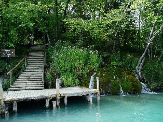 From Split or Trogir: Plitvice Lakes Private Tour - Who Will Love This Tour?