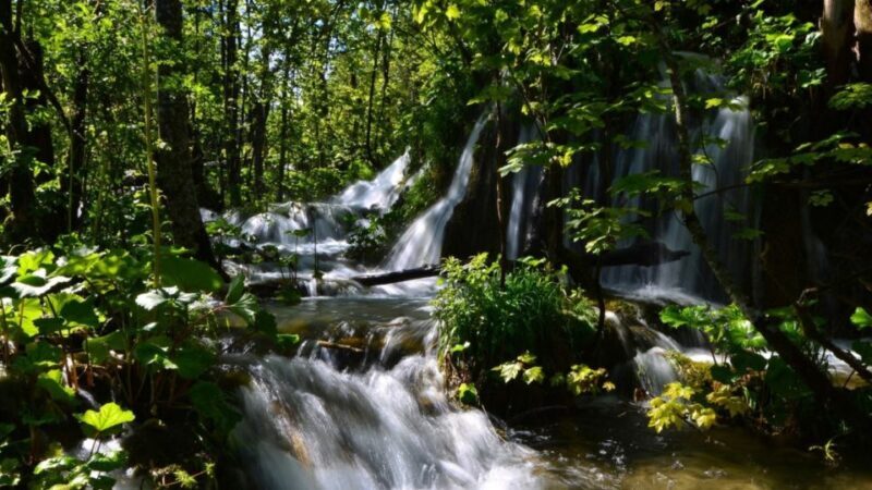From Split or Trogir: Plitvice Lakes Trip with Entry Ticket - Key Points