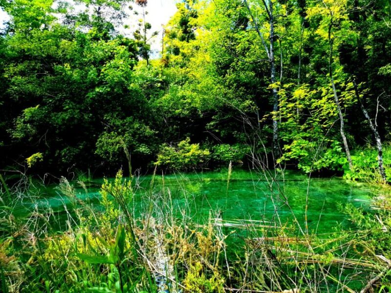 From Split: Plitvice Lakes Full-Day Trip - Who Will Love This Tour?