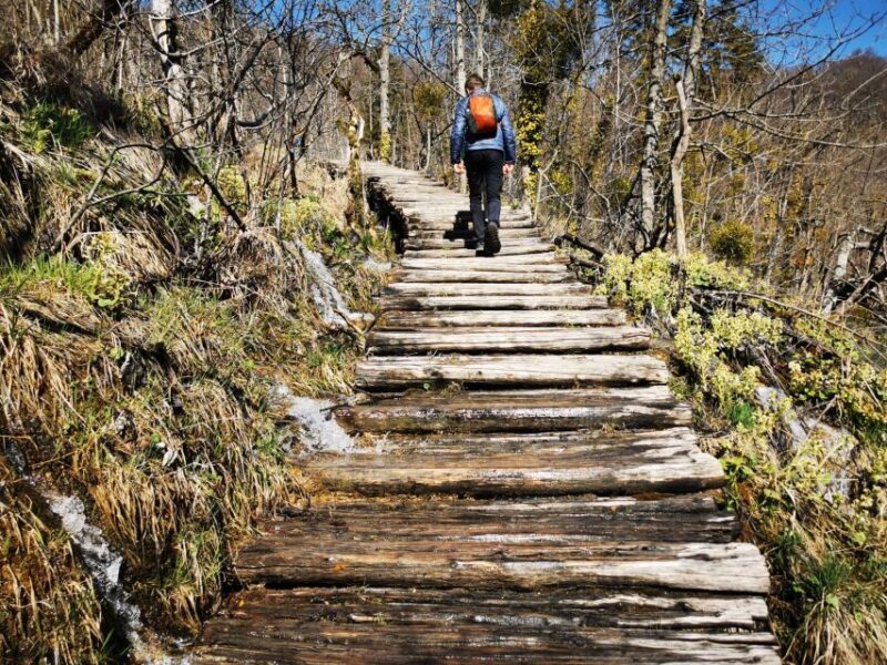 From Split: Plitvice Lakes Full-Day Trip - The Sum Up