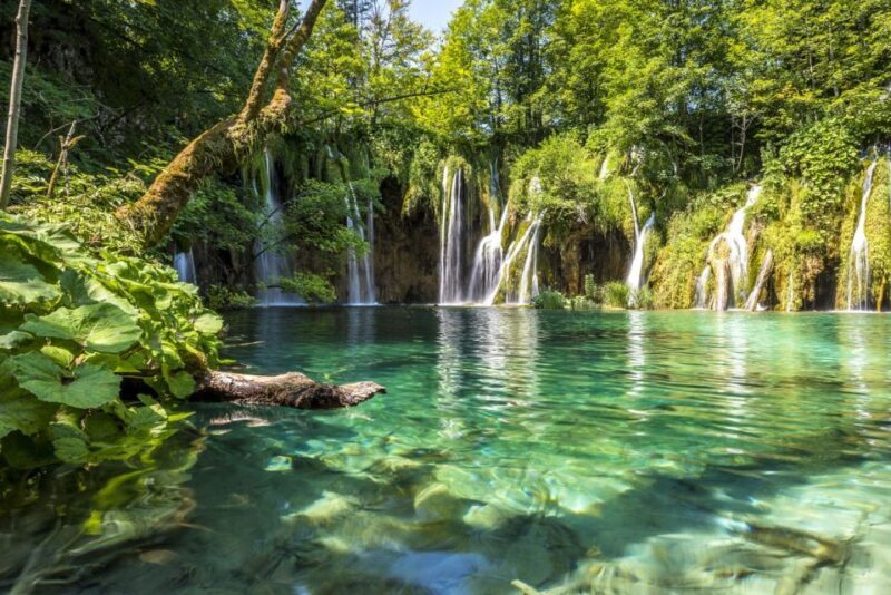 From Split: Plitvice Lakes Fully-Guided Day Tour - A Close Look at the Experience