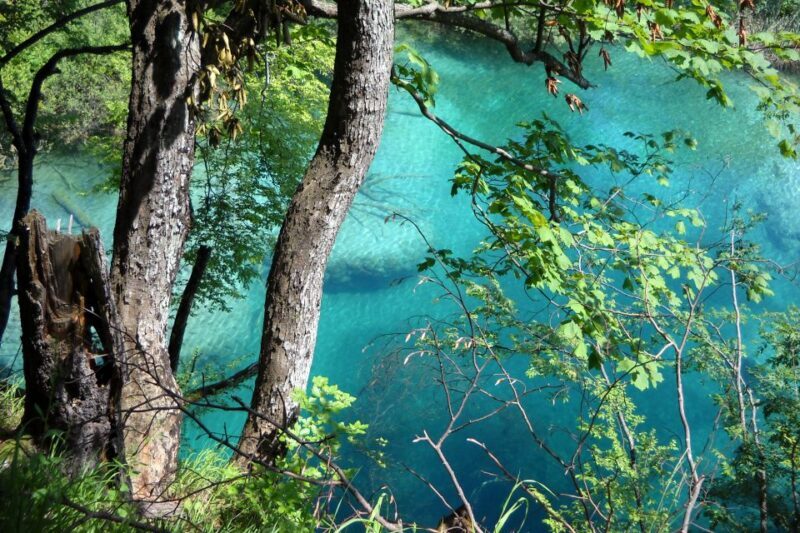 From Split: Plitvice Lakes Fully-Guided Day Tour - Final Thoughts: Is It Worth It?
