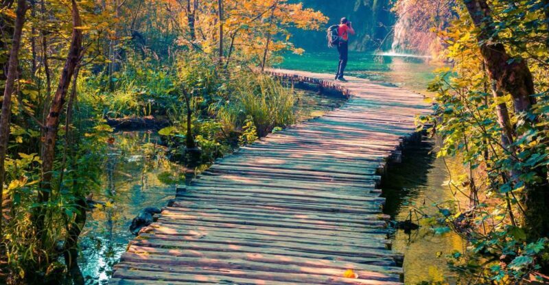 From Split: Plitvice Lakes Guided Tour with Entry Tickets - Discovering the Plitvice Lakes Guided Tour from Split