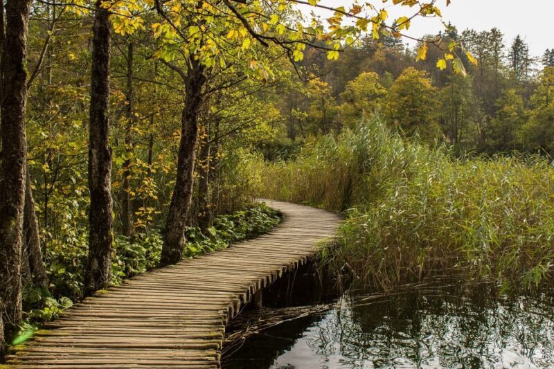 From Split: Private Tour to Plitvice Lakes National Park - Transportation, Duration, and Practicalities