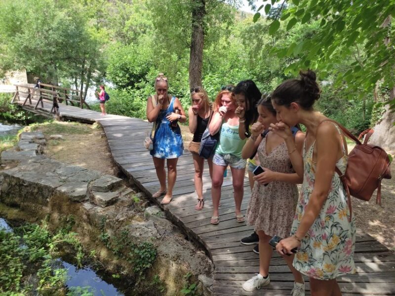 From Split & Trogir: Krka Waterfalls Day Tour with Boat Ride - FAQs