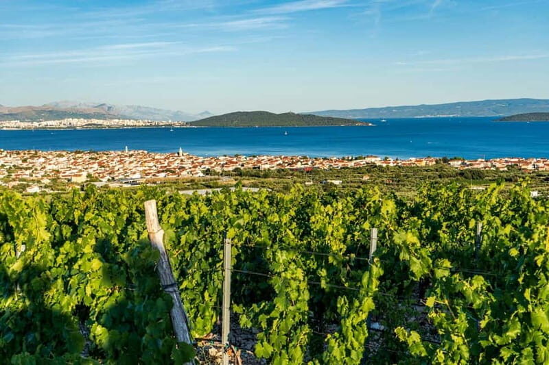 From Split: Vineyard Wine Tasting Experience with a Sea View - From Split: Vineyard Wine Tasting Experience with a Sea View — A Detailed Review