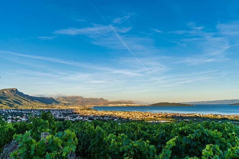 From Split: Vineyard Wine Tasting Experience with a Sea View - Who Will Love This Tour?