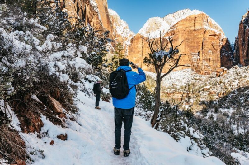 From Springdale: 4-hour Zion Canyon Scenic Hiking Tour - Why You Should Consider This Tour